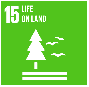 RRS & ‘Global Goals’ | St Catherine’s Catholic Primary School